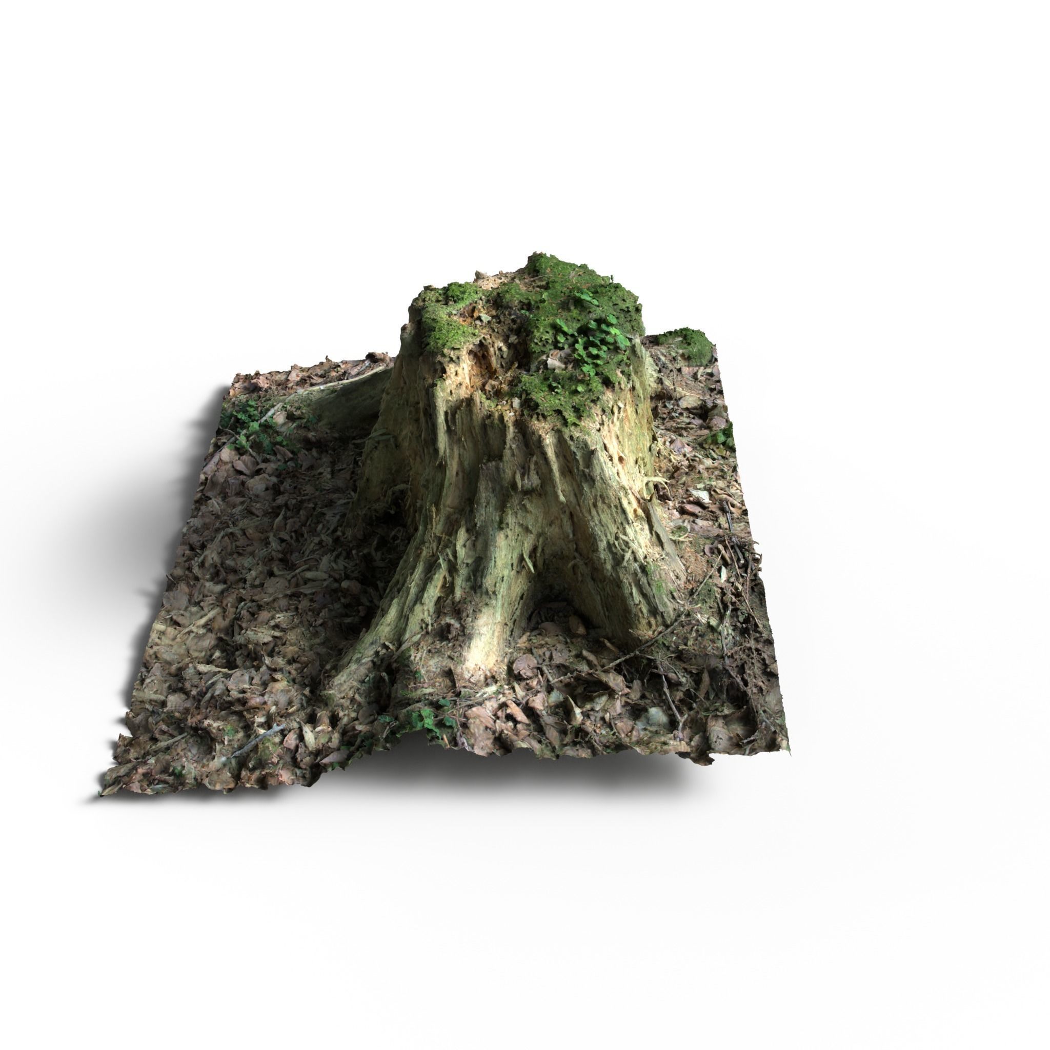 Forest Tree Stump 4K -Part 9- free VR / AR / low-poly 3D model | CGTrader