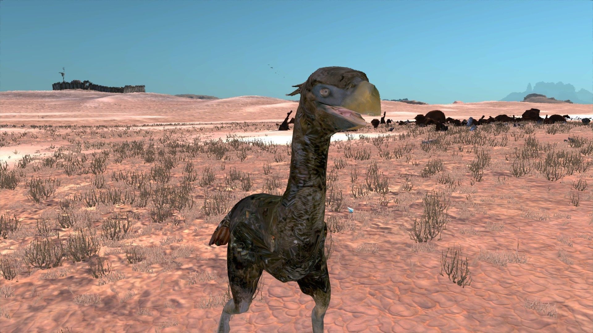 Terror Bird free VR / AR / low-poly 3D model animated rigged | CGTrader