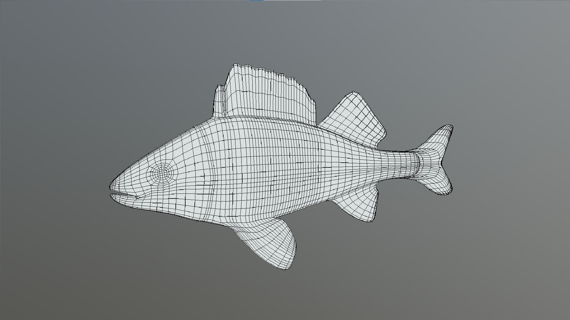 Bass - Fish free VR / AR / low-poly 3D model animated rigged | CGTrader