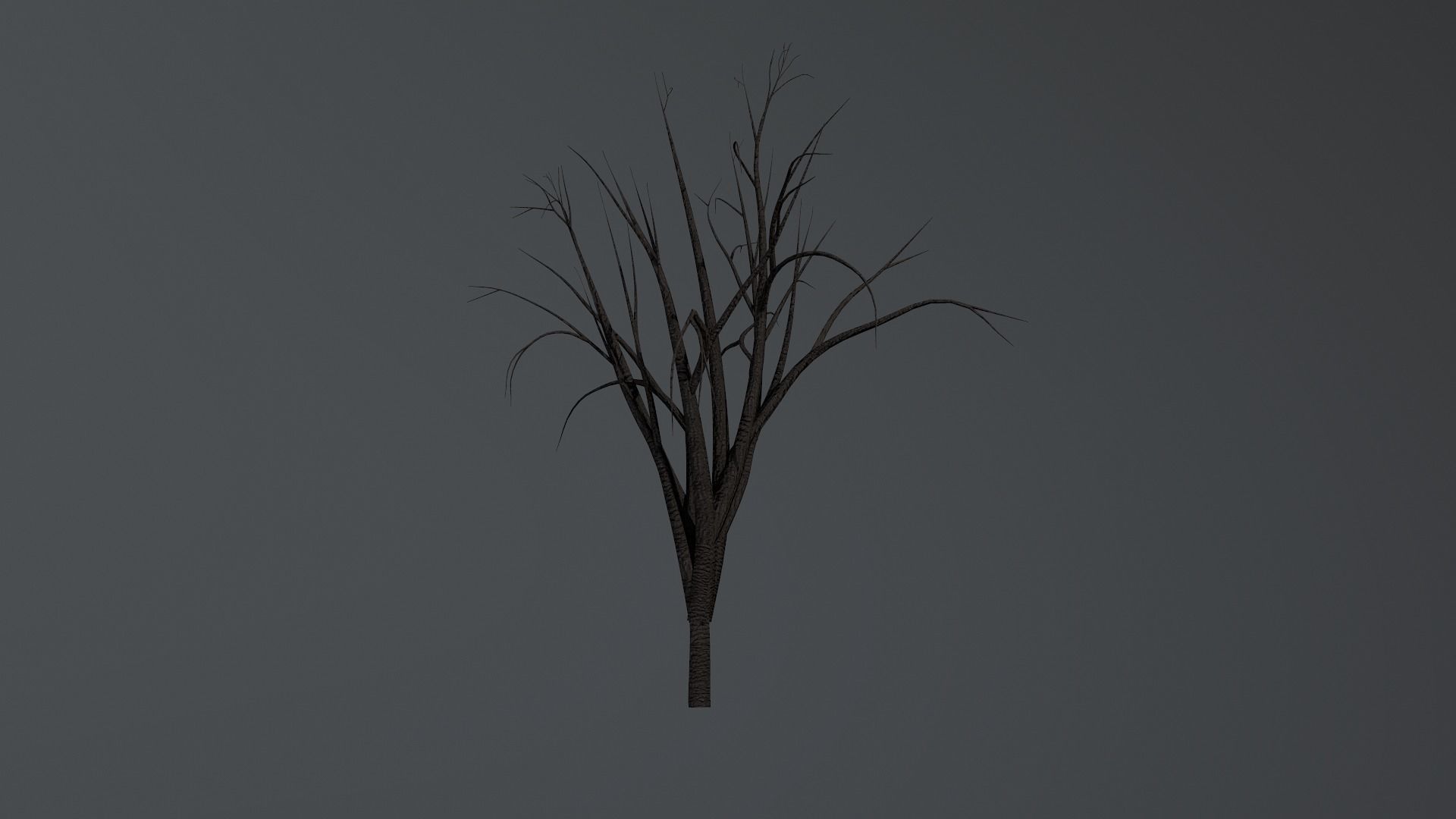 Dead Tree 2 free VR / AR / low-poly 3D model | CGTrader