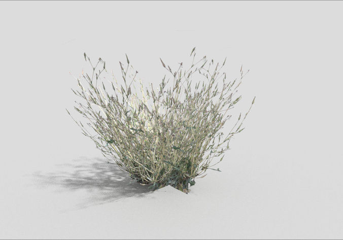 3D model low poly grass 3 VR / AR / low-poly OBJ 3DS FBX BLEND DAE X3D ...
