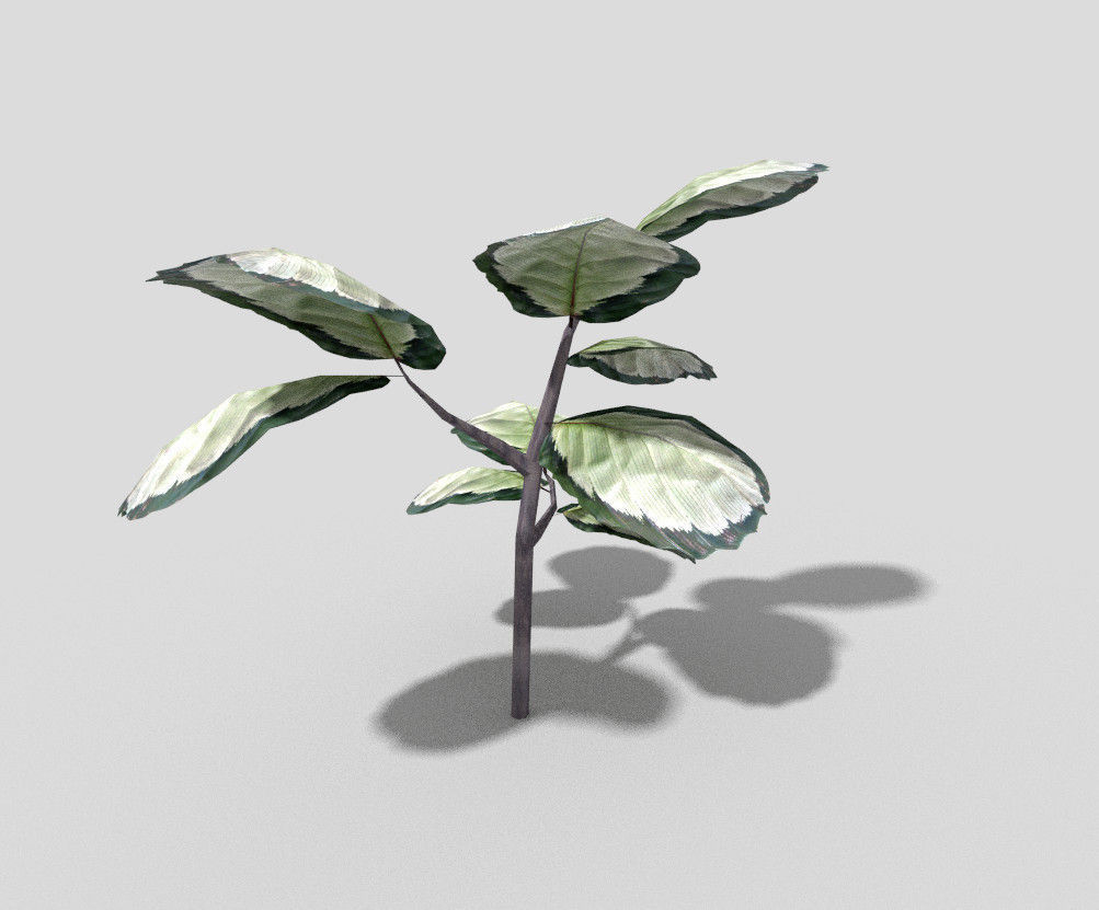 3D model Low poly Plant VR / AR / low-poly | CGTrader