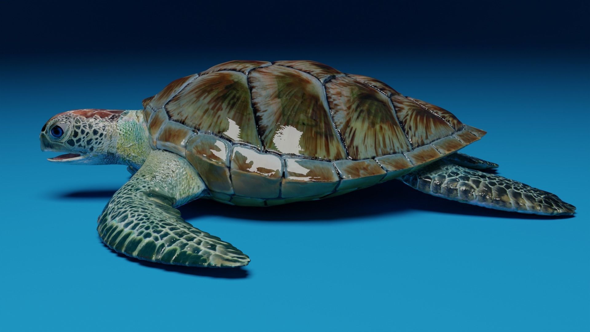 Rigged Green Sea Turtle 3D model rigged | CGTrader