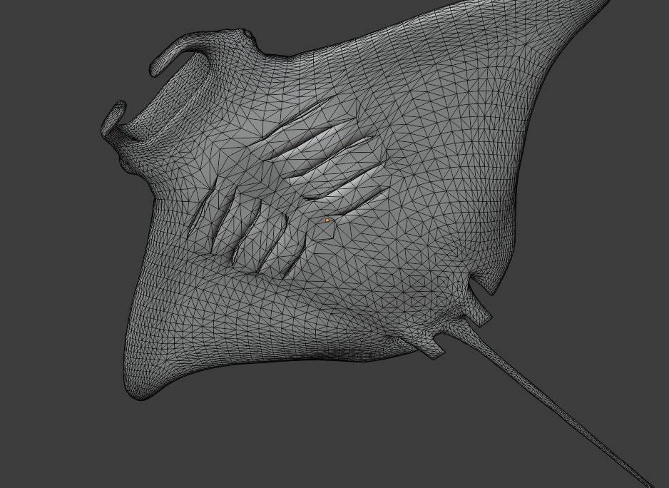 3D model Manta Ray Animated VR / AR / low-poly rigged animated | CGTrader