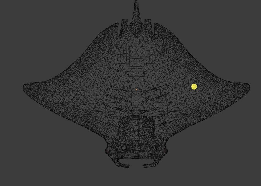 3D model Manta Ray Animated VR / AR / low-poly rigged animated | CGTrader