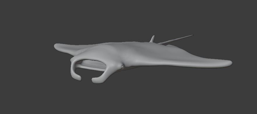3D model Manta Ray Animated VR / AR / low-poly rigged animated | CGTrader