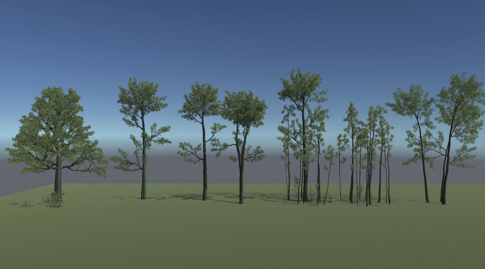Unity Pack Nature Forest HQ trees 3D model animated rigged | CGTrader