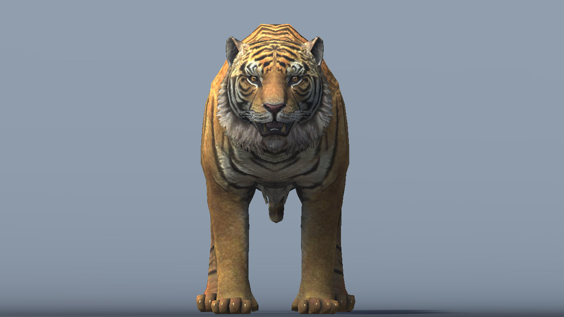 3D model Lowpoly Tiger Rigged and Animated for VR AR Games VR / AR ...