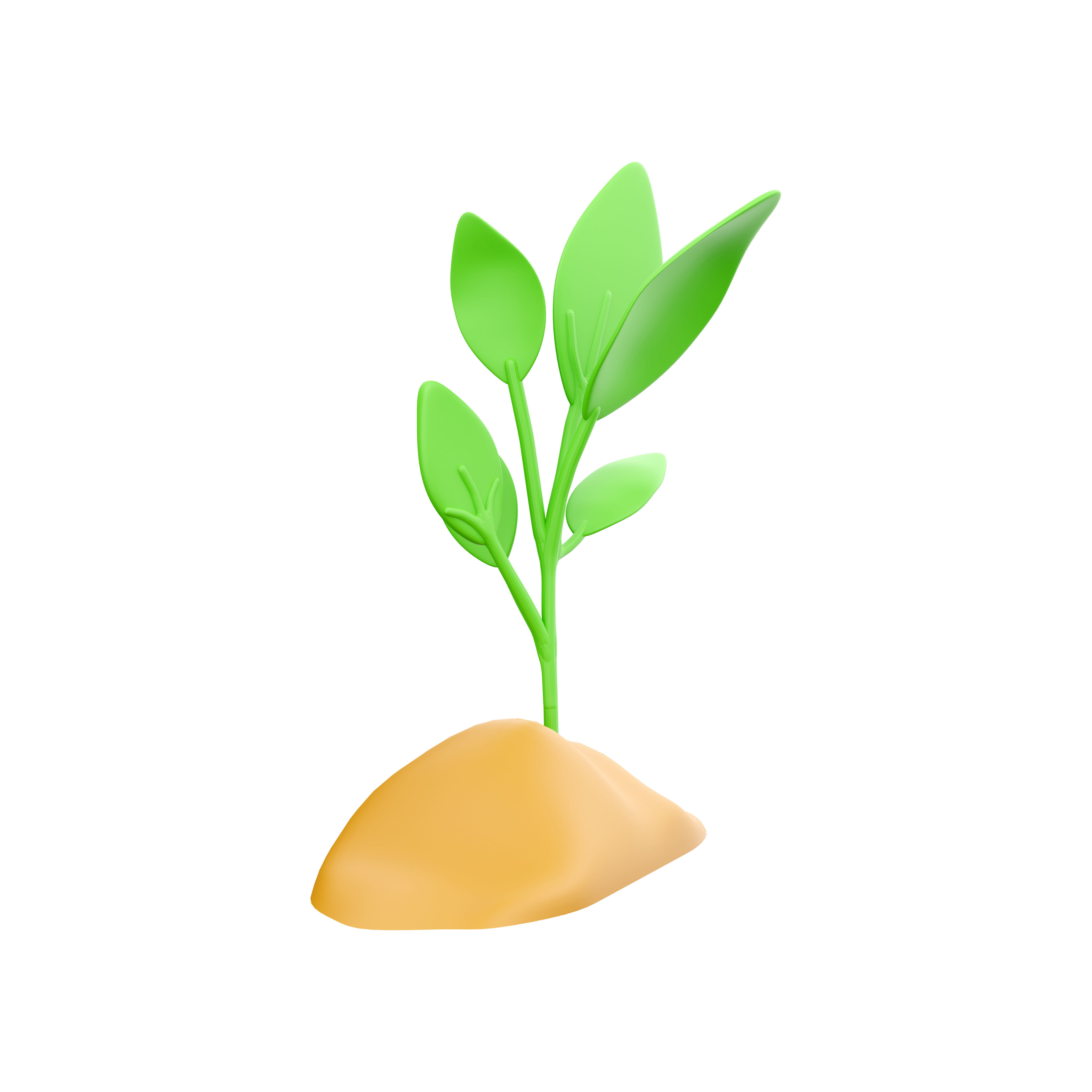 3d Plant potato growing on rock 3D model | CGTrader