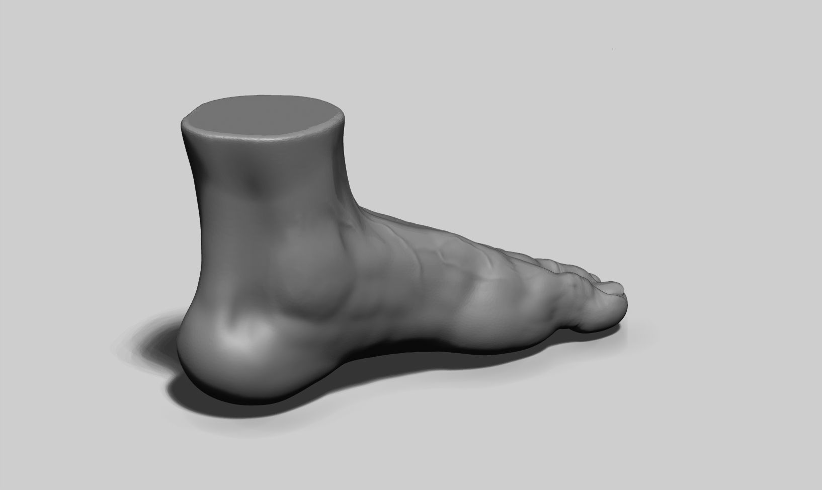 Foot a02 3d print model 3D model 3D printable | CGTrader