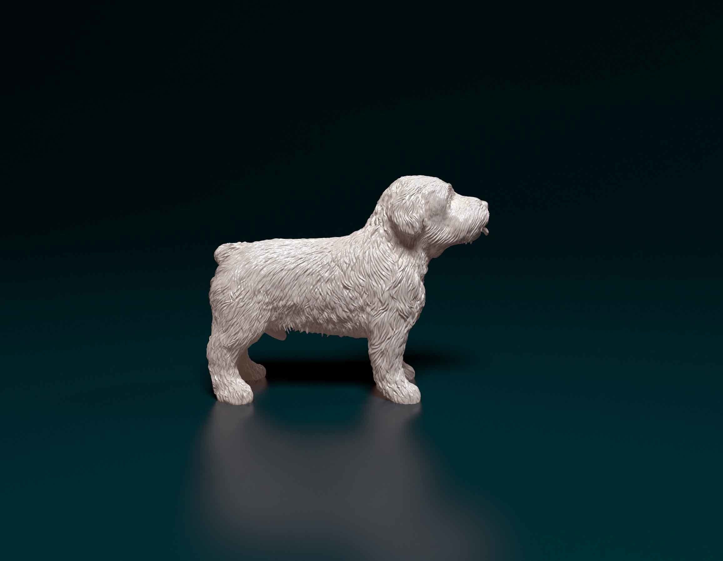 Mini Schnauzer 3D model 3D printable | CGTrader