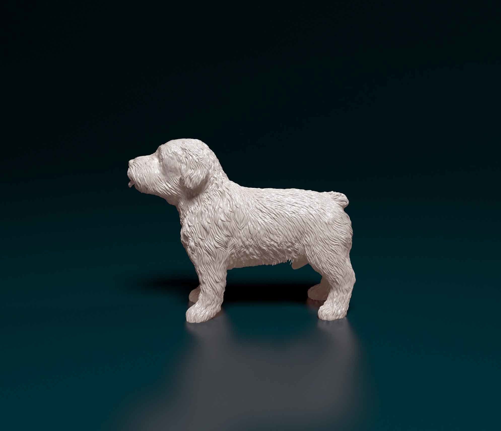 Mini Schnauzer 3D model 3D printable | CGTrader