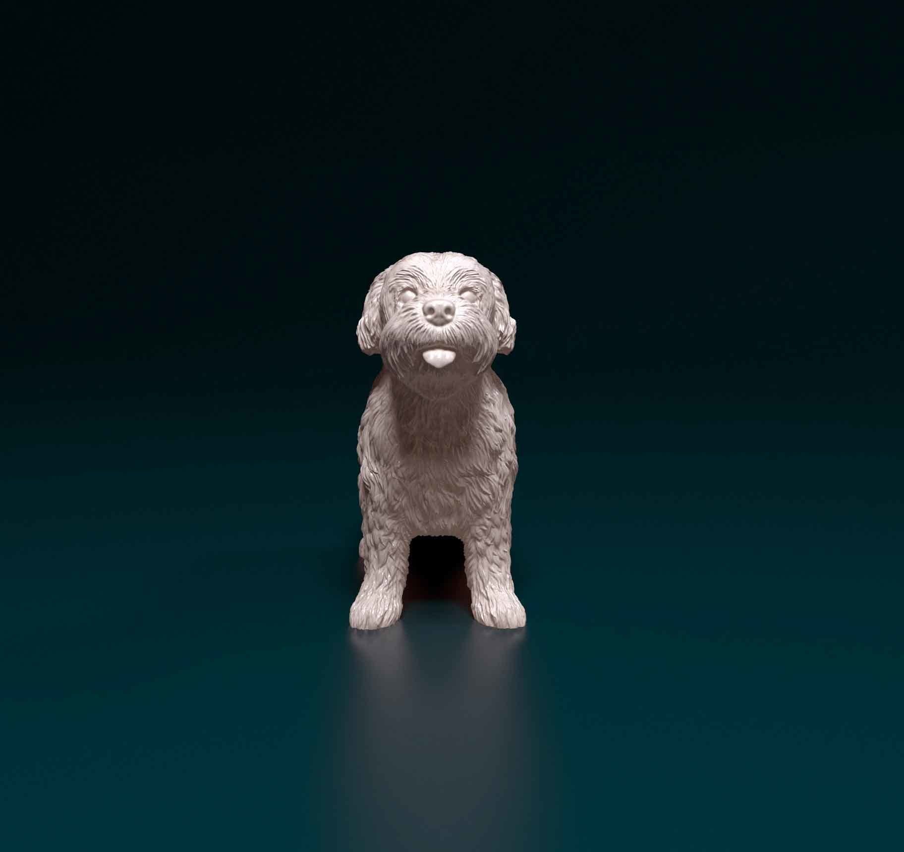 Mini Schnauzer 3D model 3D printable | CGTrader