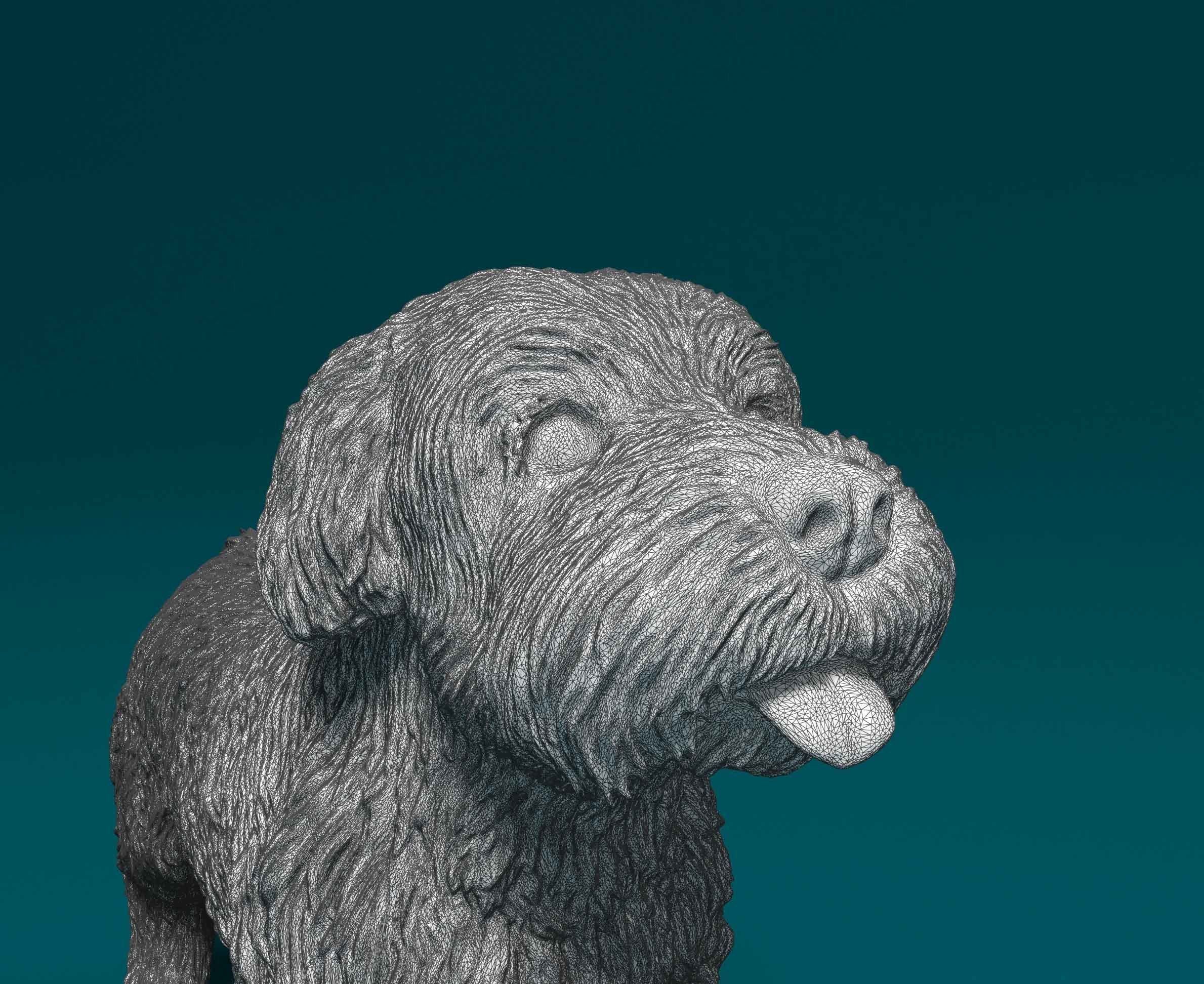 Mini Schnauzer 3D model 3D printable | CGTrader