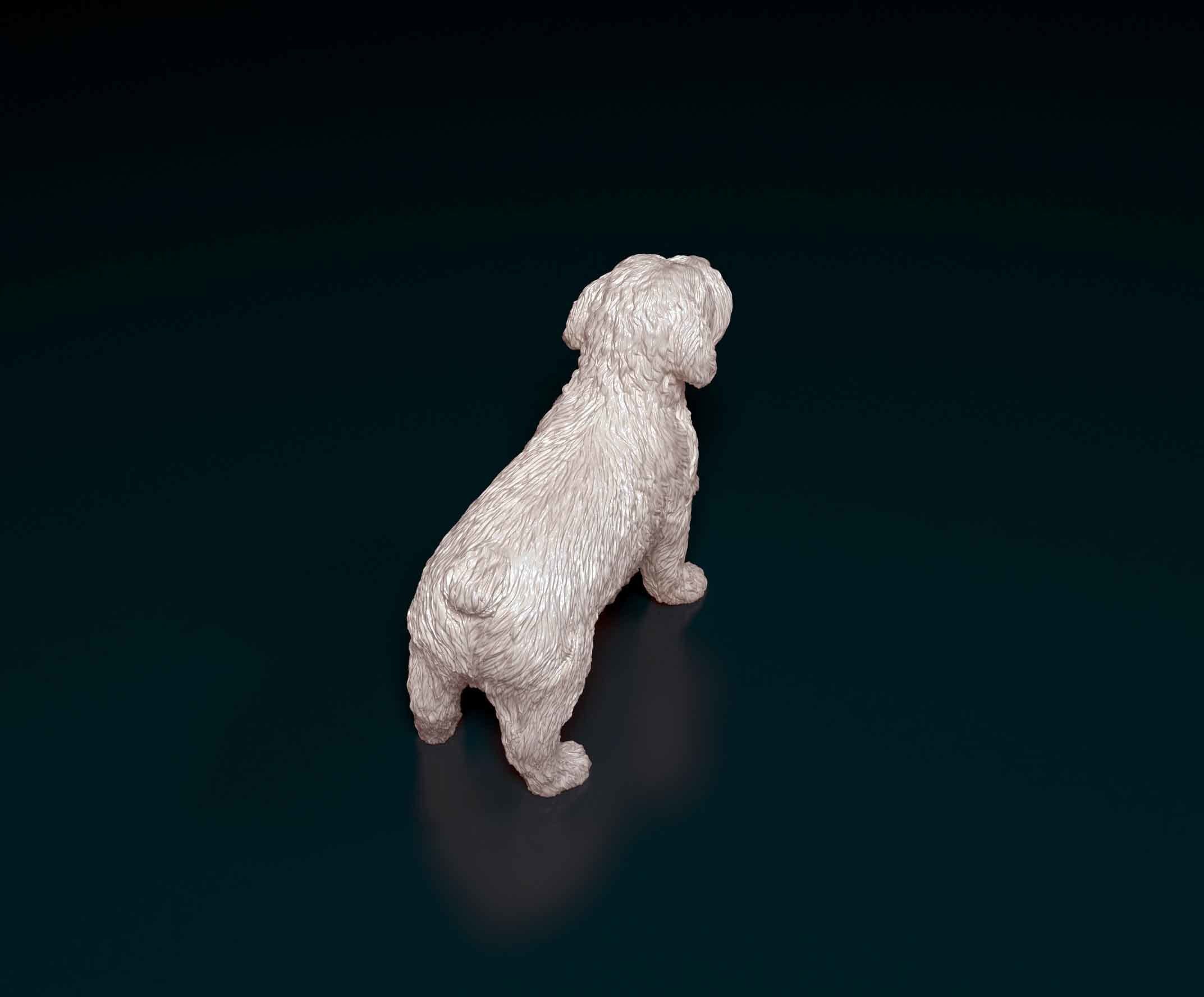 Mini Schnauzer 3D model 3D printable | CGTrader