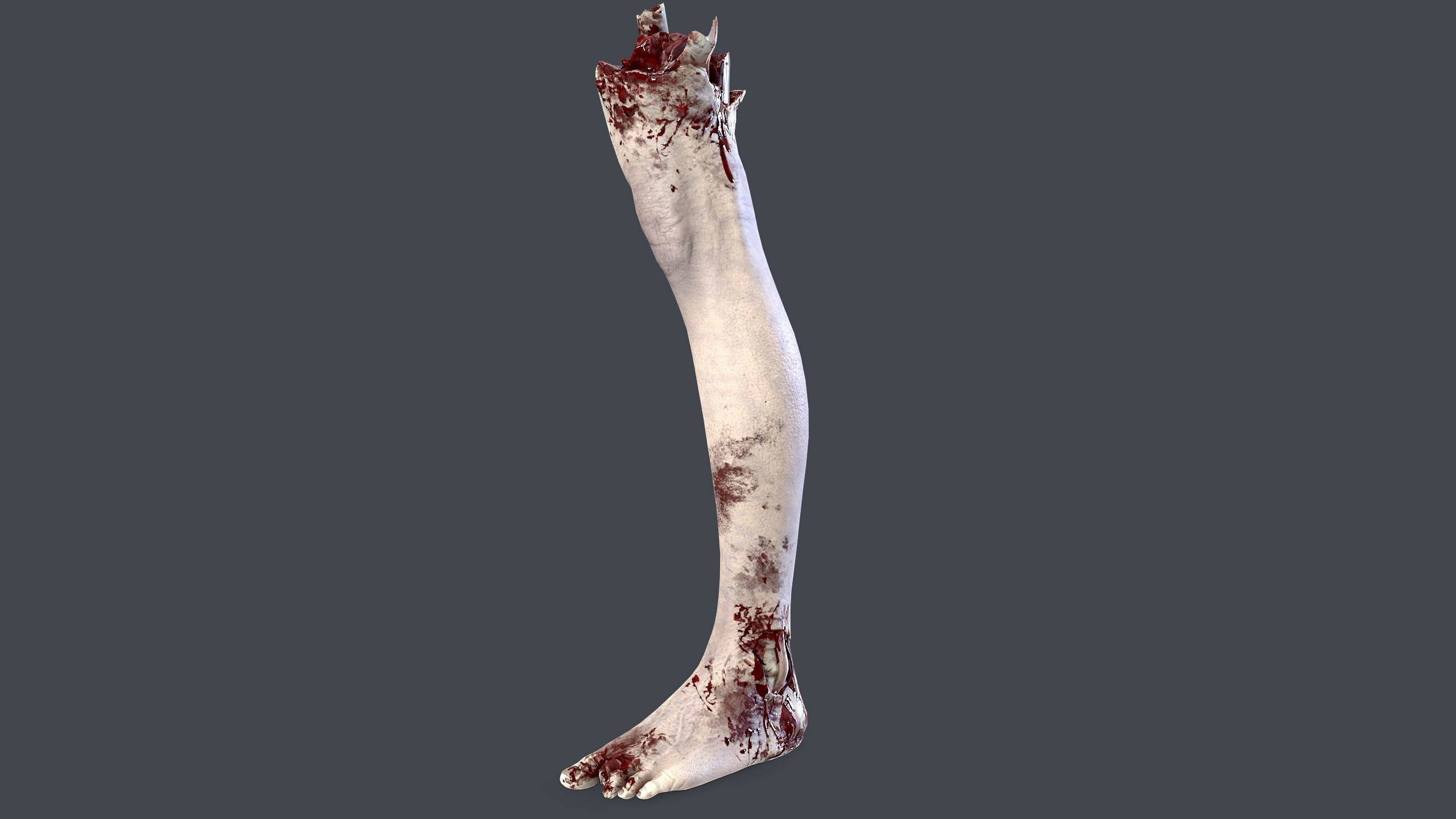 3D model Severed Feet Collection VR / AR / low-poly | CGTrader