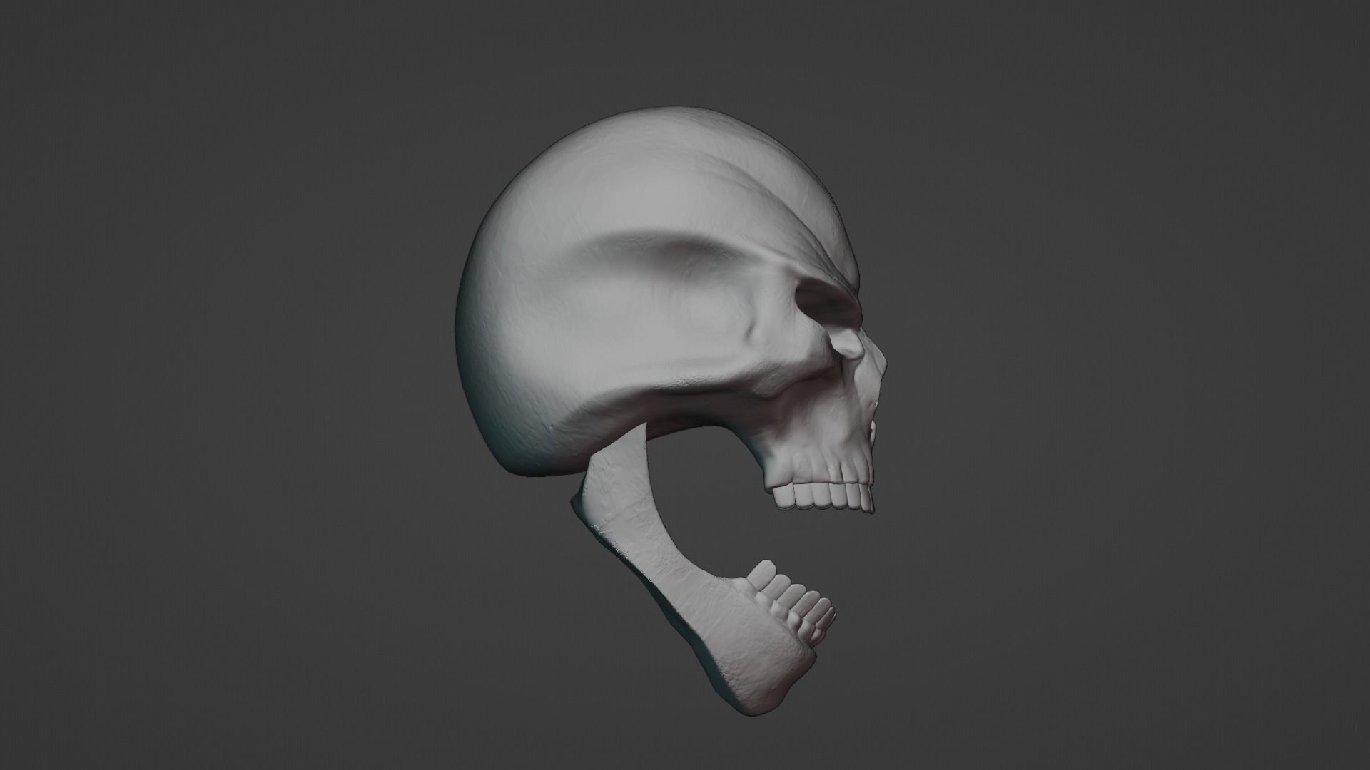 Skull 3D model sculpt 3D model | CGTrader
