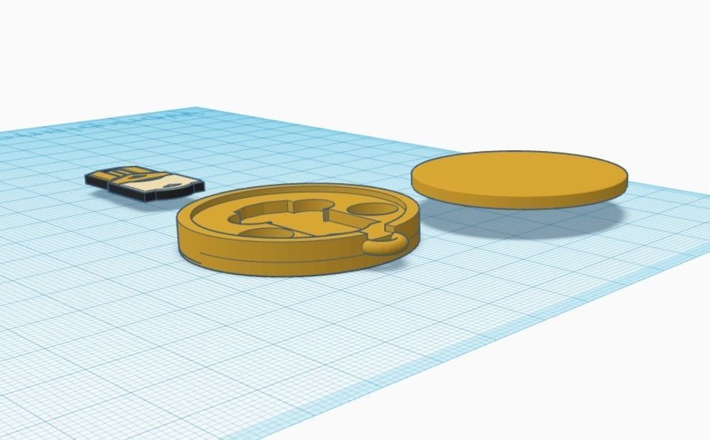 The Grey Man memory stick 3D model 3D printable | CGTrader