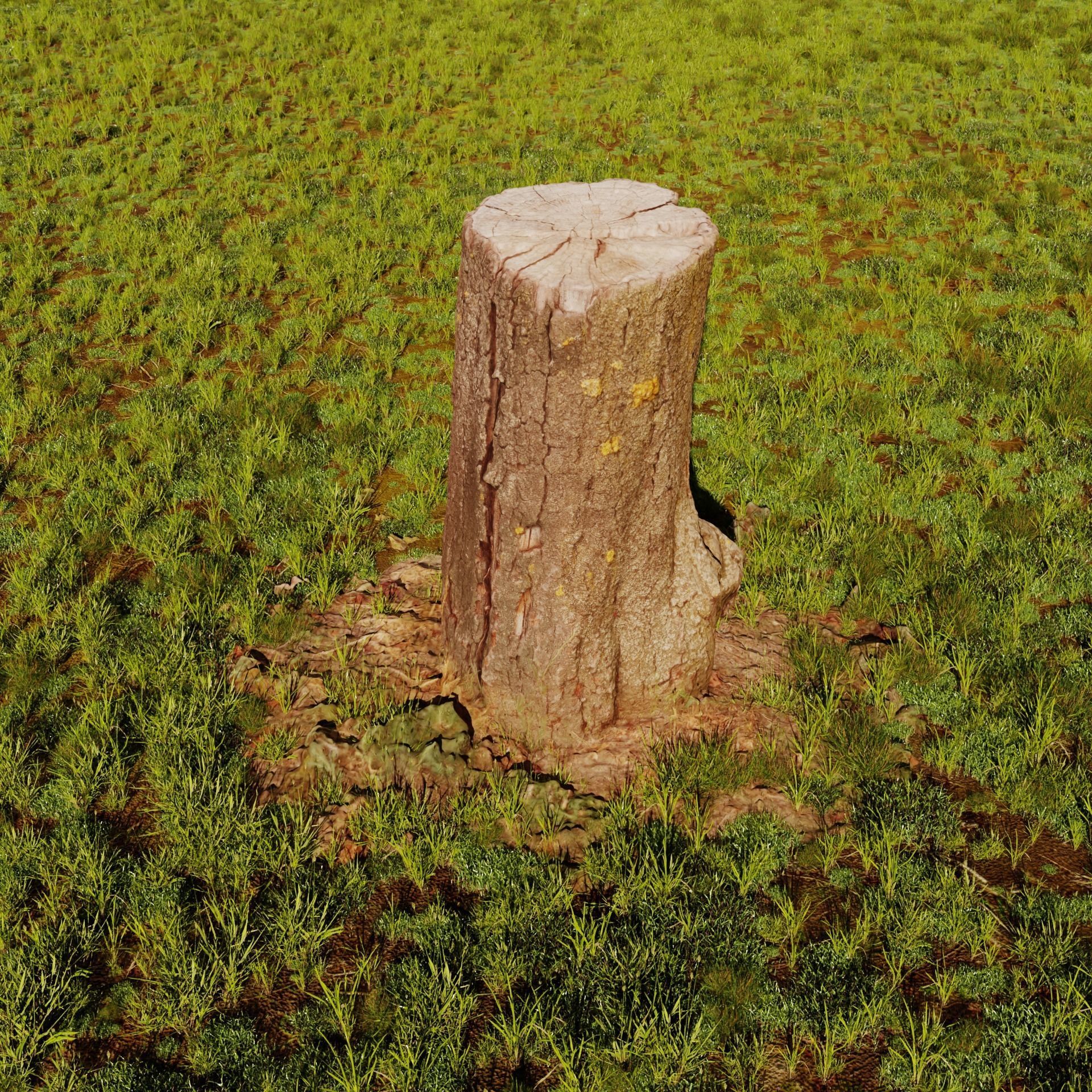 3D model Stump photogrammetry Low Poly and High Poly VR / AR / low-poly ...