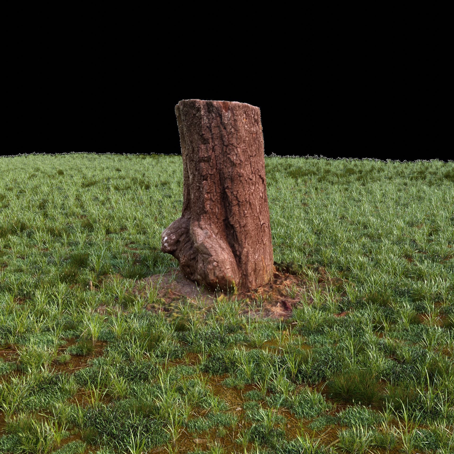 3D model Stump photogrammetry Low Poly and High Poly VR / AR / low-poly ...