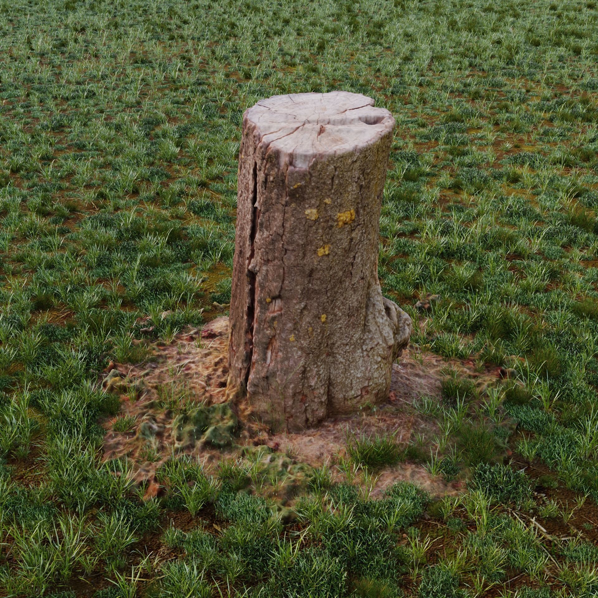 3D model Stump photogrammetry Low Poly and High Poly VR / AR / low-poly ...