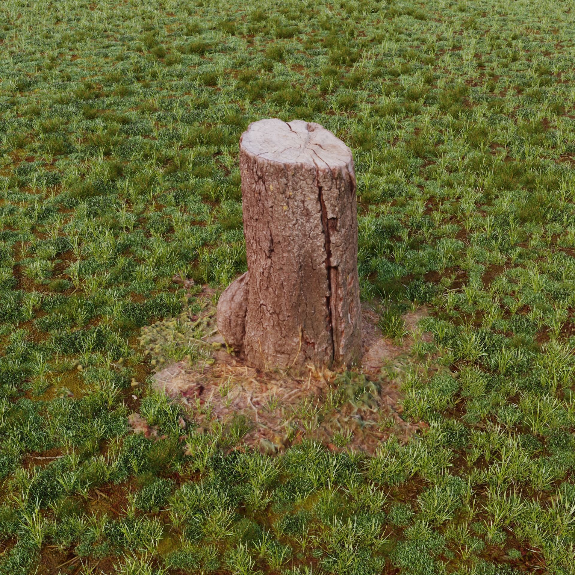 3D model Stump photogrammetry Low Poly and High Poly VR / AR / low-poly ...
