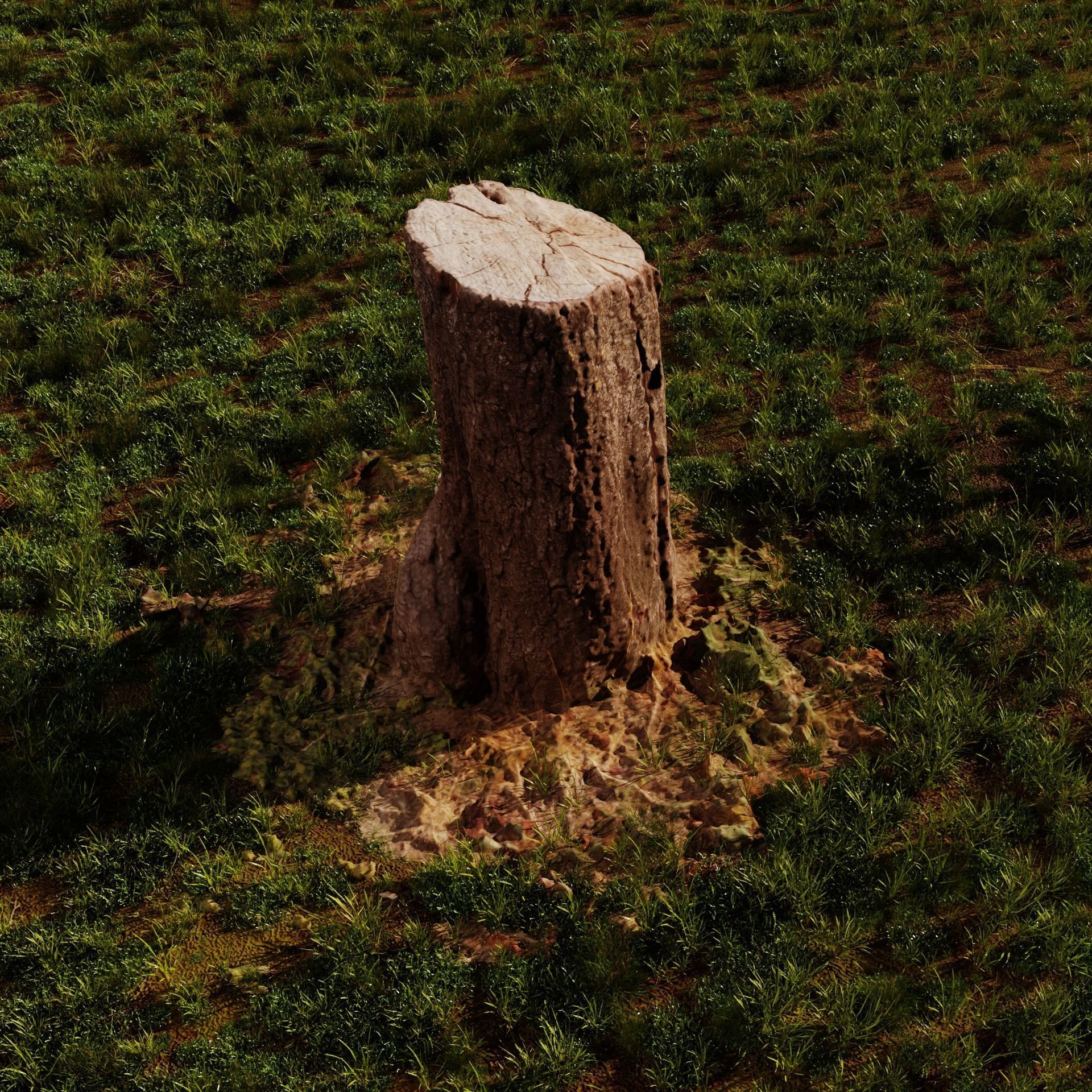 3D model Stump photogrammetry Low Poly and High Poly VR / AR / low-poly ...