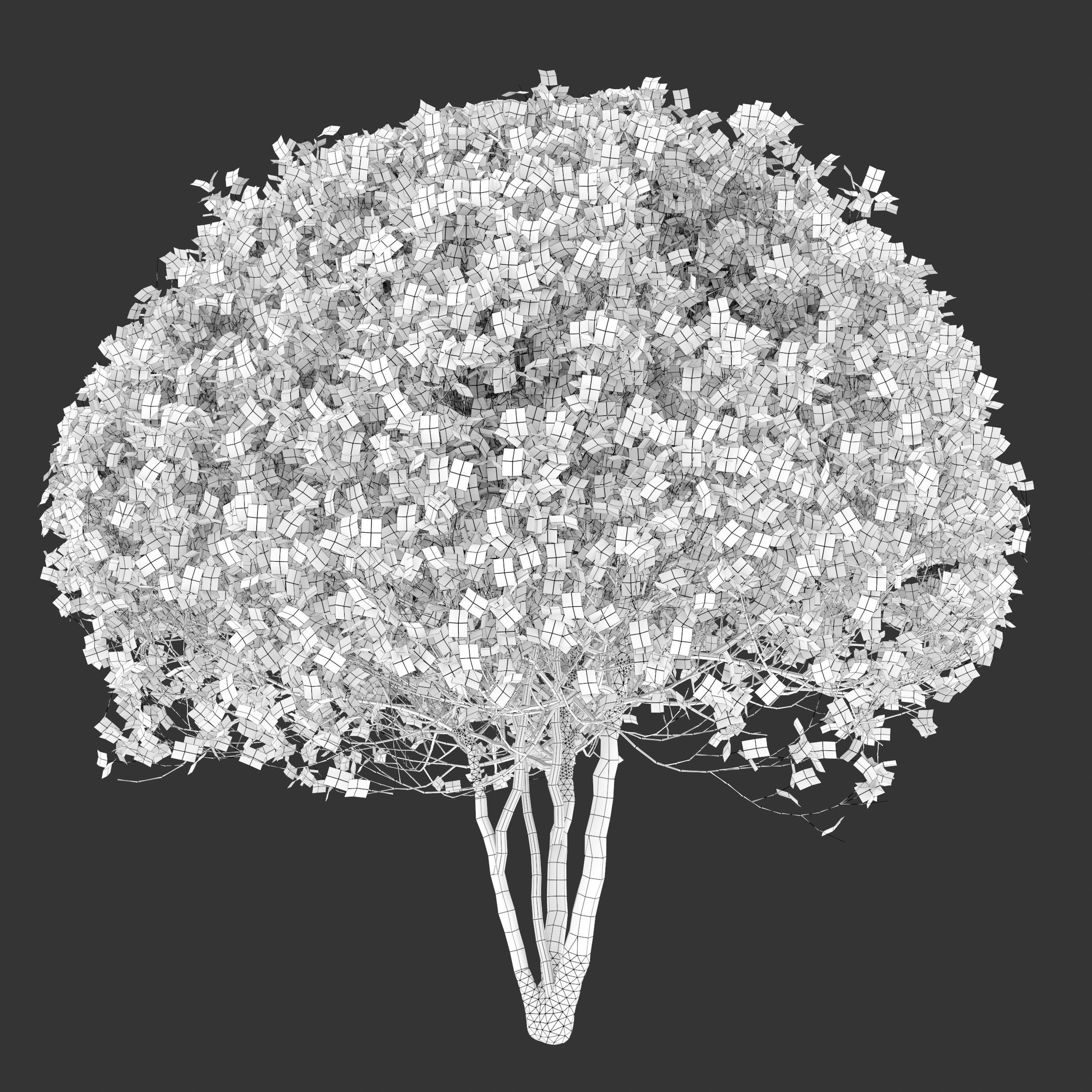 Sphere shaped trees 3D model | CGTrader