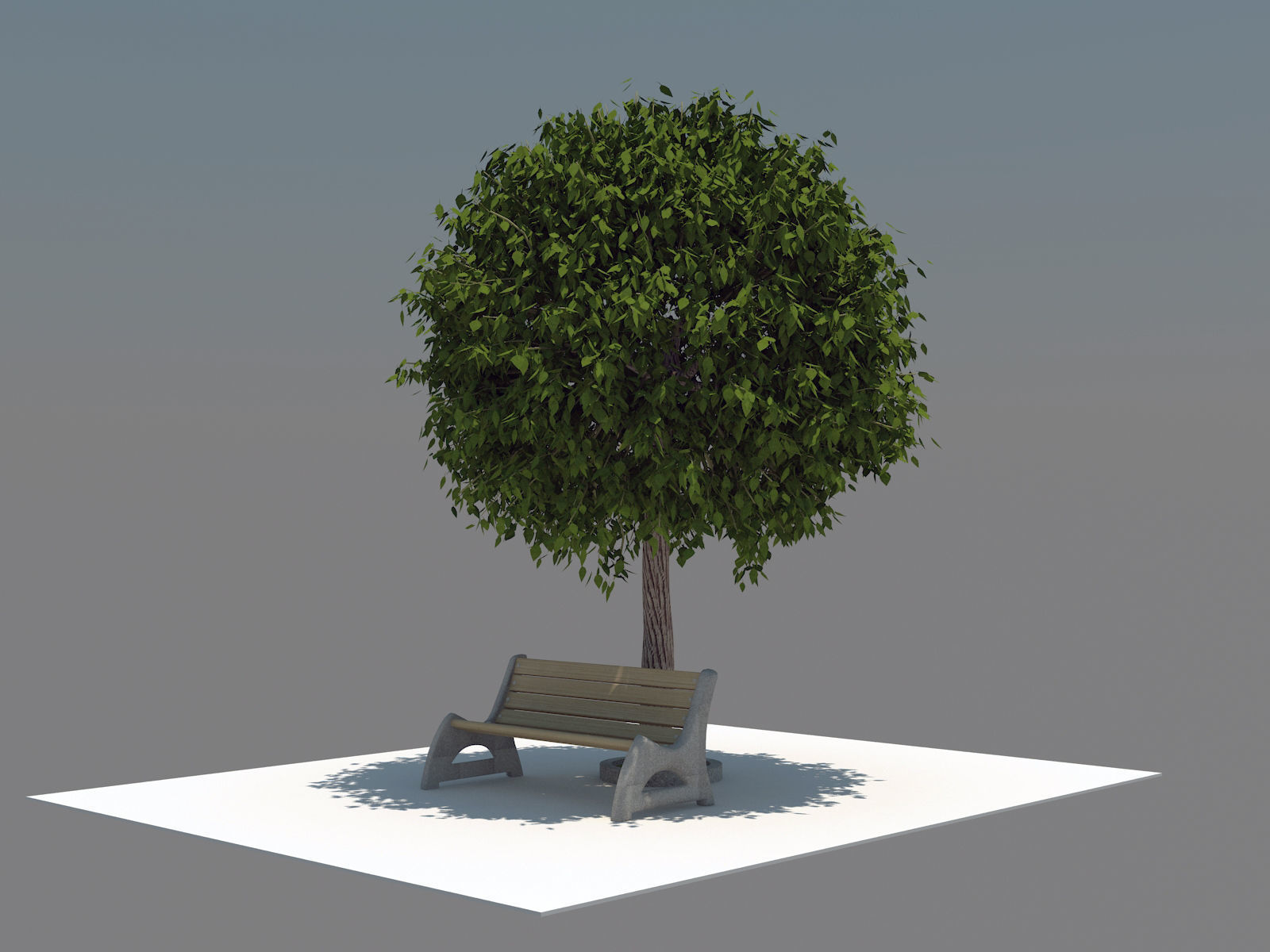Realistic tree and bench 3D model | CGTrader