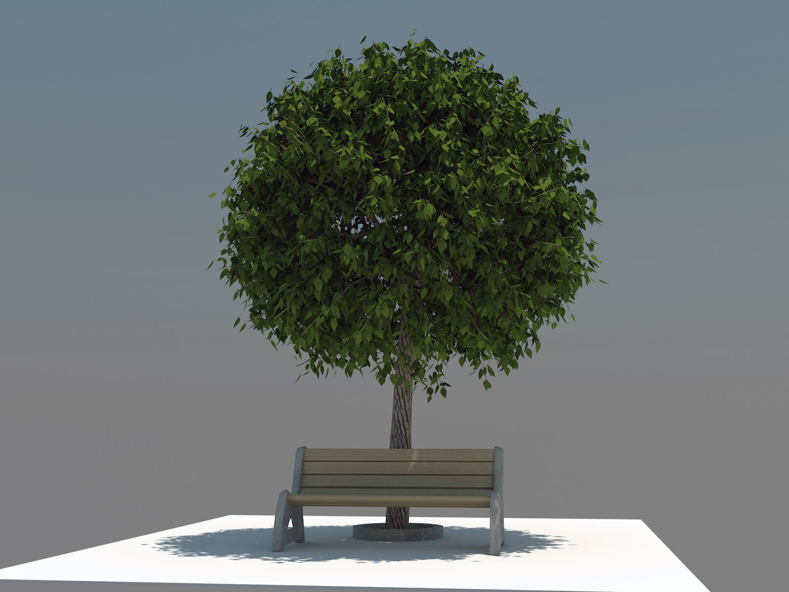 Realistic tree and bench 3D model | CGTrader