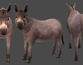 Donkey 3D Models | CGTrader