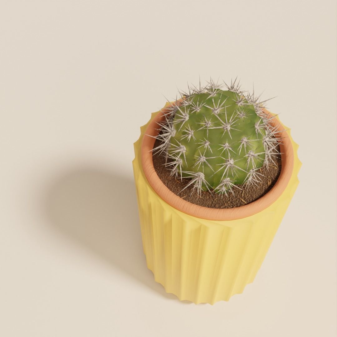 Small cactus pot 3D model | CGTrader