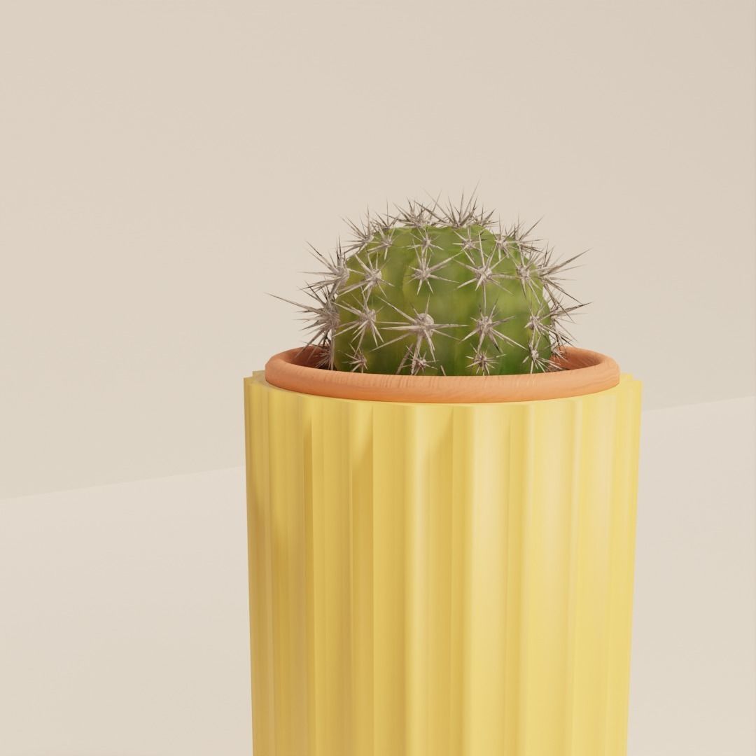 Small cactus pot 3D model | CGTrader
