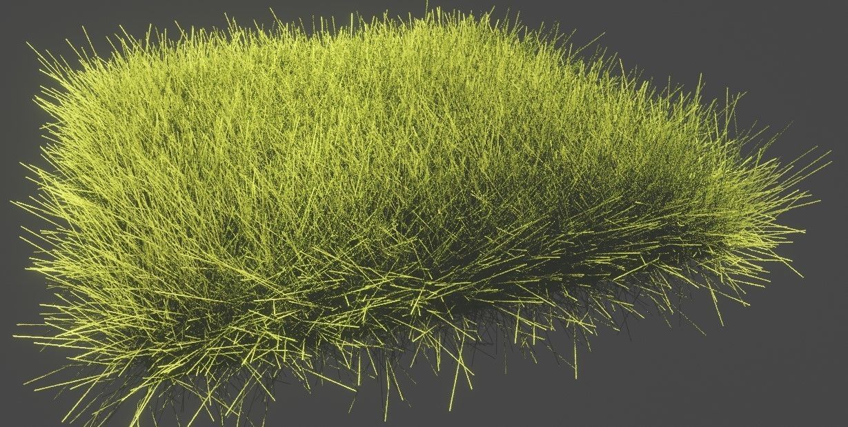 Grass 3D model | CGTrader
