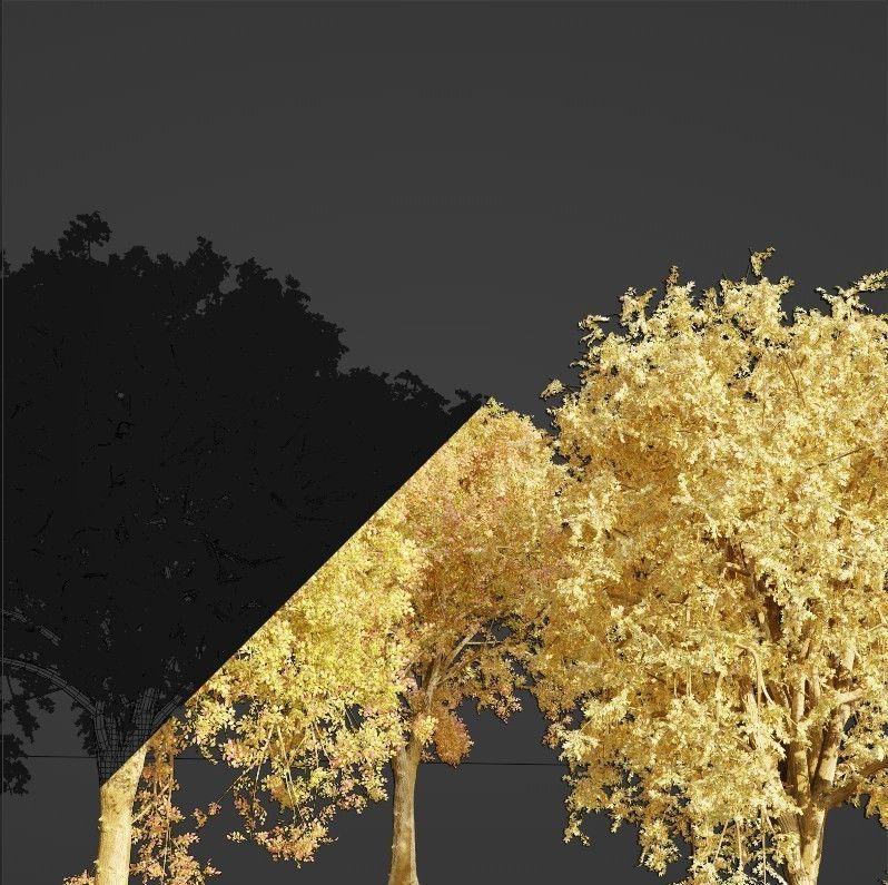 Trees blender model -PACK A- 3D model | CGTrader