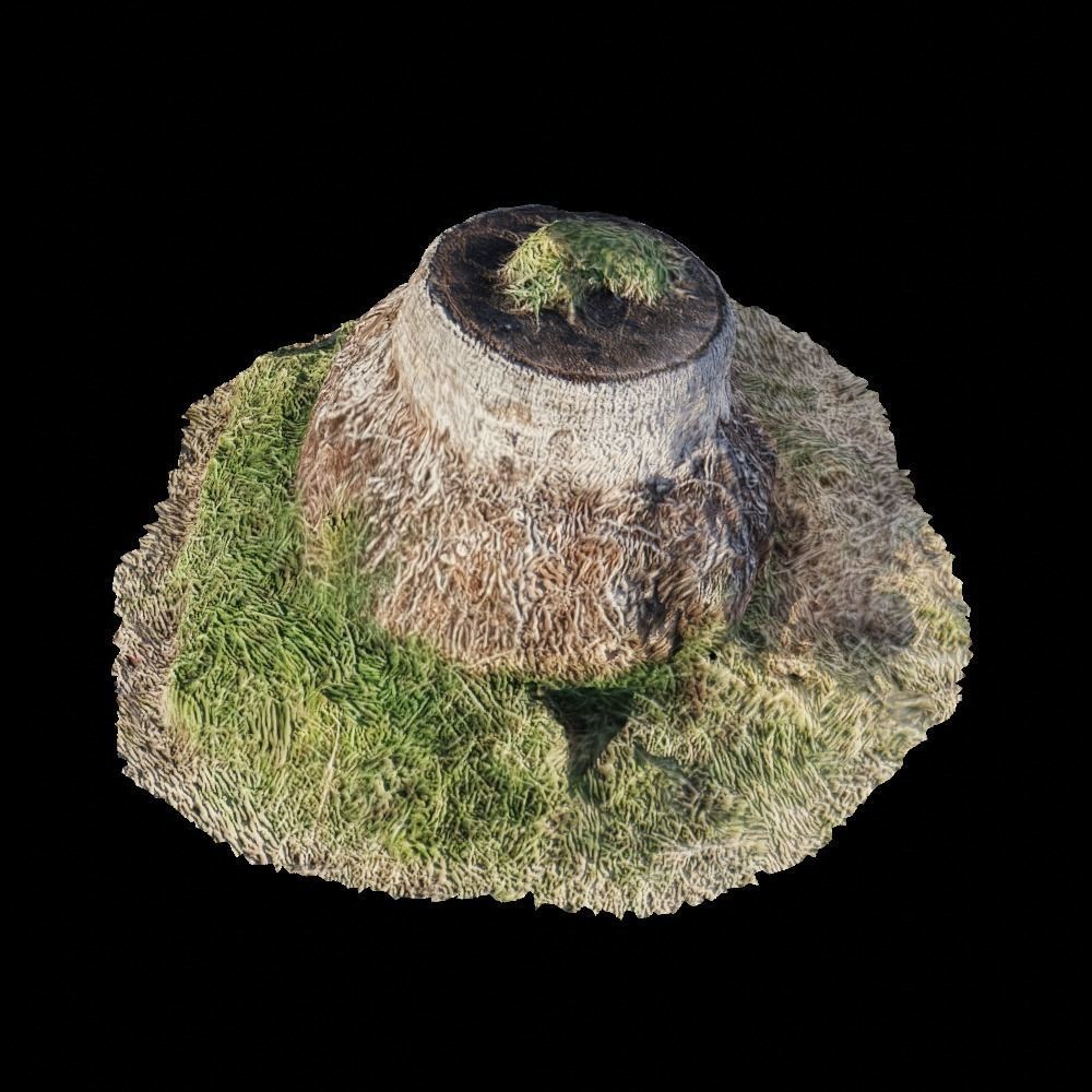 Low-Poly Scanned Tree stump 3D model 3D model | CGTrader