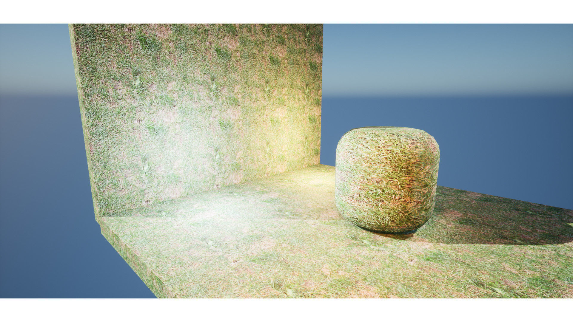 Photorealistic Grass Textures in 4K Texture | CGTrader