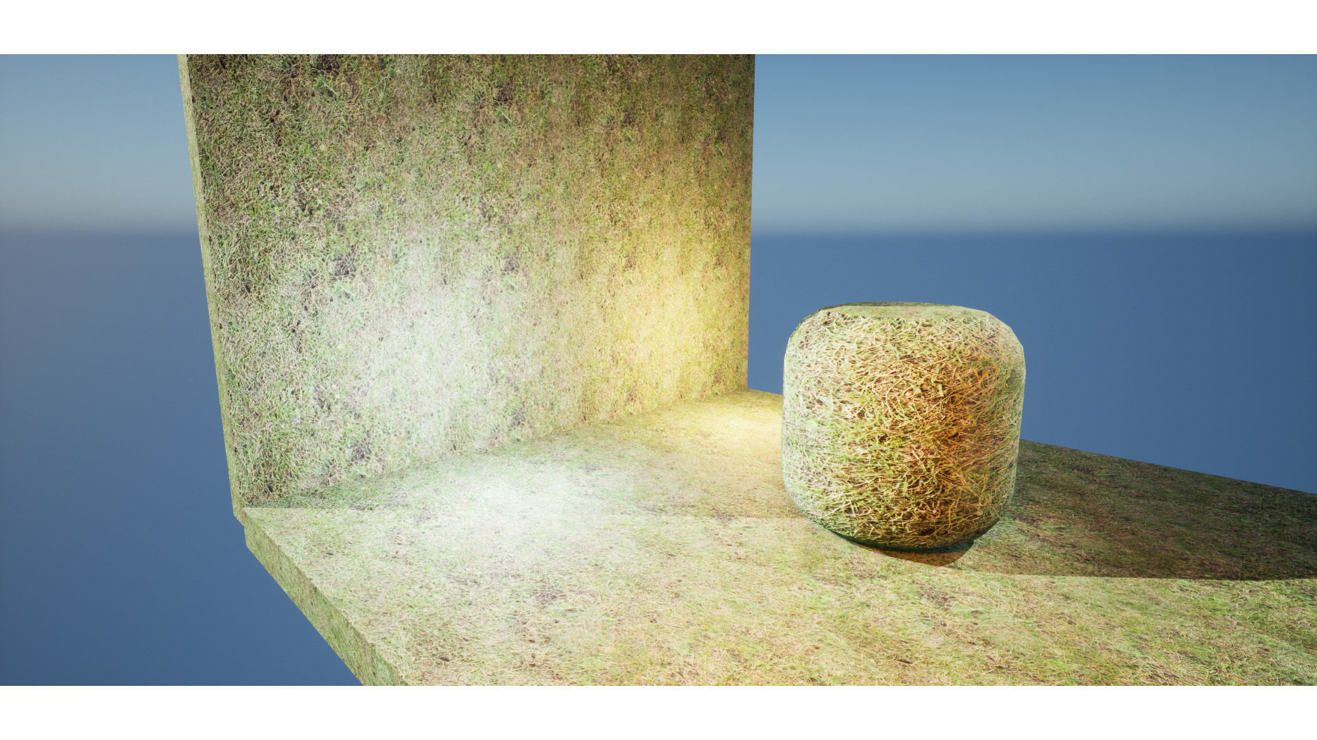 Photorealistic Grass Textures in 4K Texture | CGTrader