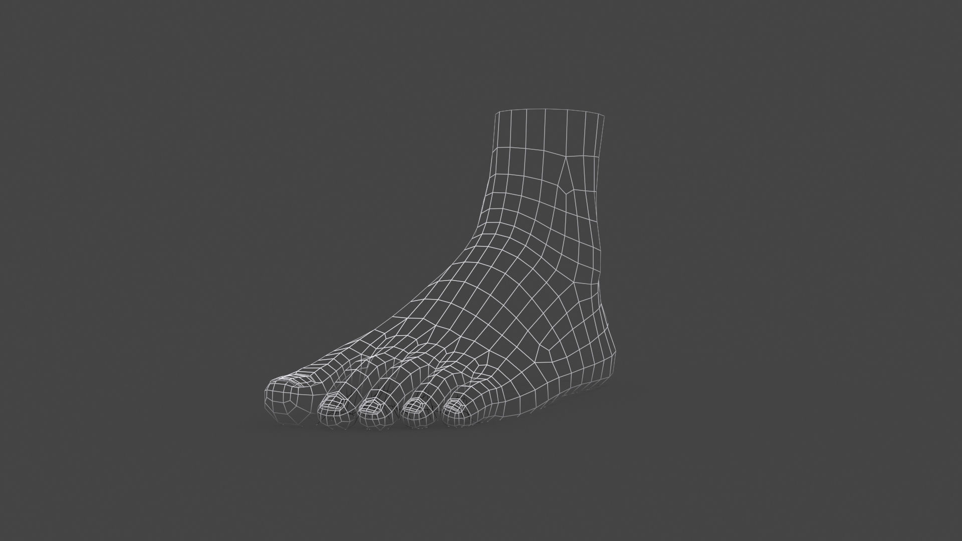 3D model FOOT-002 Rigged Left Foot VR / AR / low-poly | CGTrader