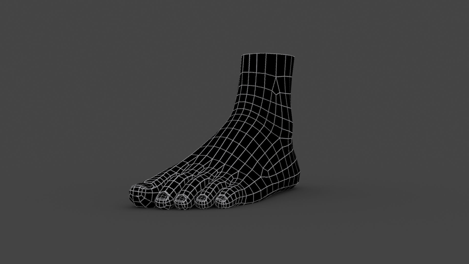 3D model FOOT-002 Rigged Left Foot VR / AR / low-poly | CGTrader