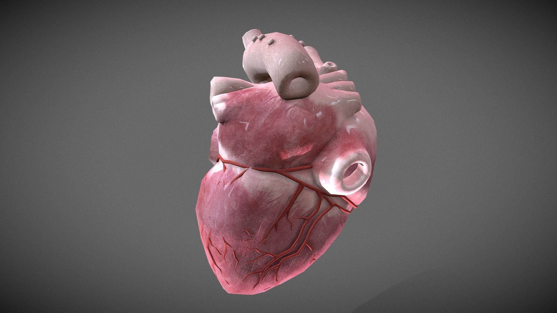 3D model Human Heart VR / AR / low-poly rigged animated | CGTrader