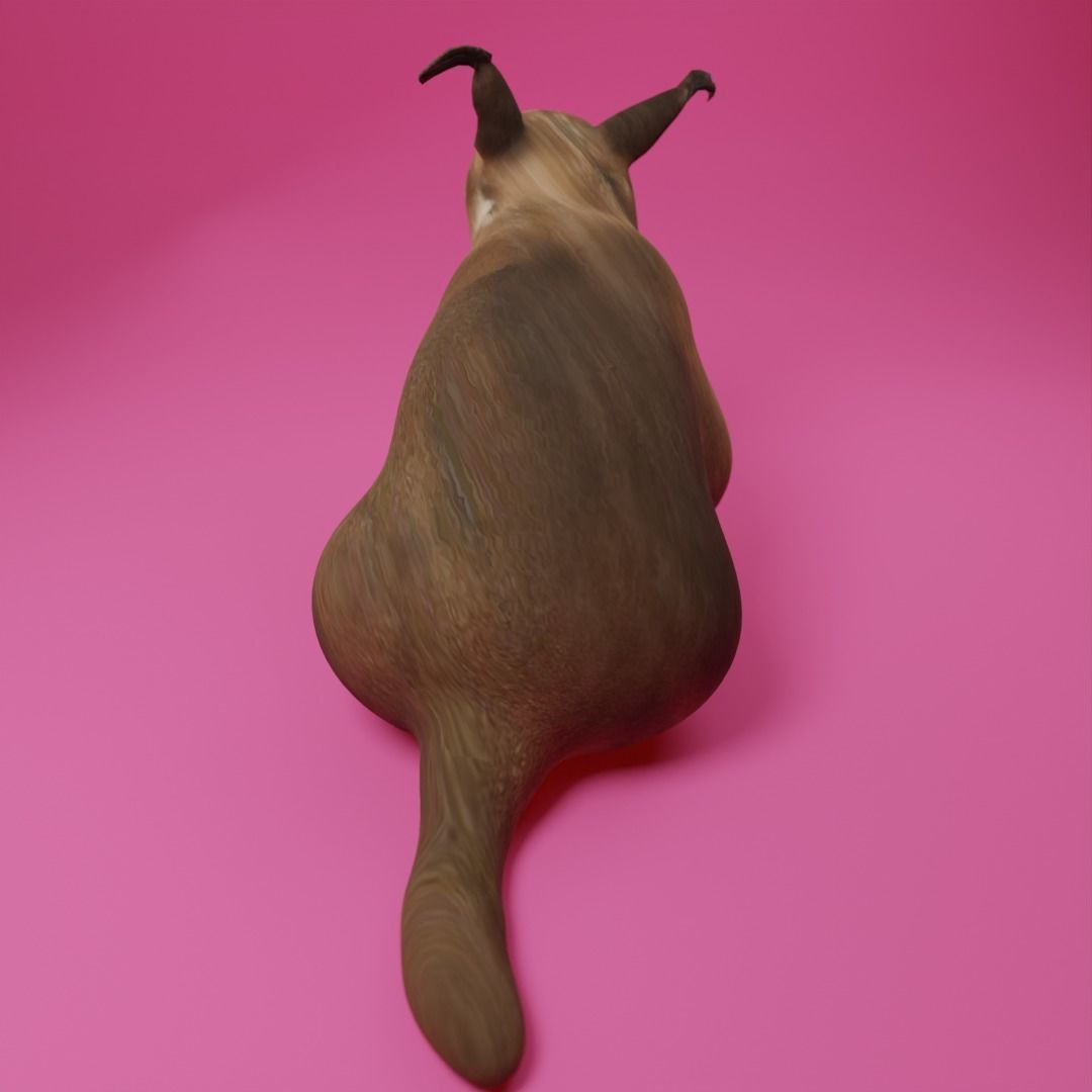 BIG FLOPPA 3D Model free VR / AR / low-poly 3D model | CGTrader