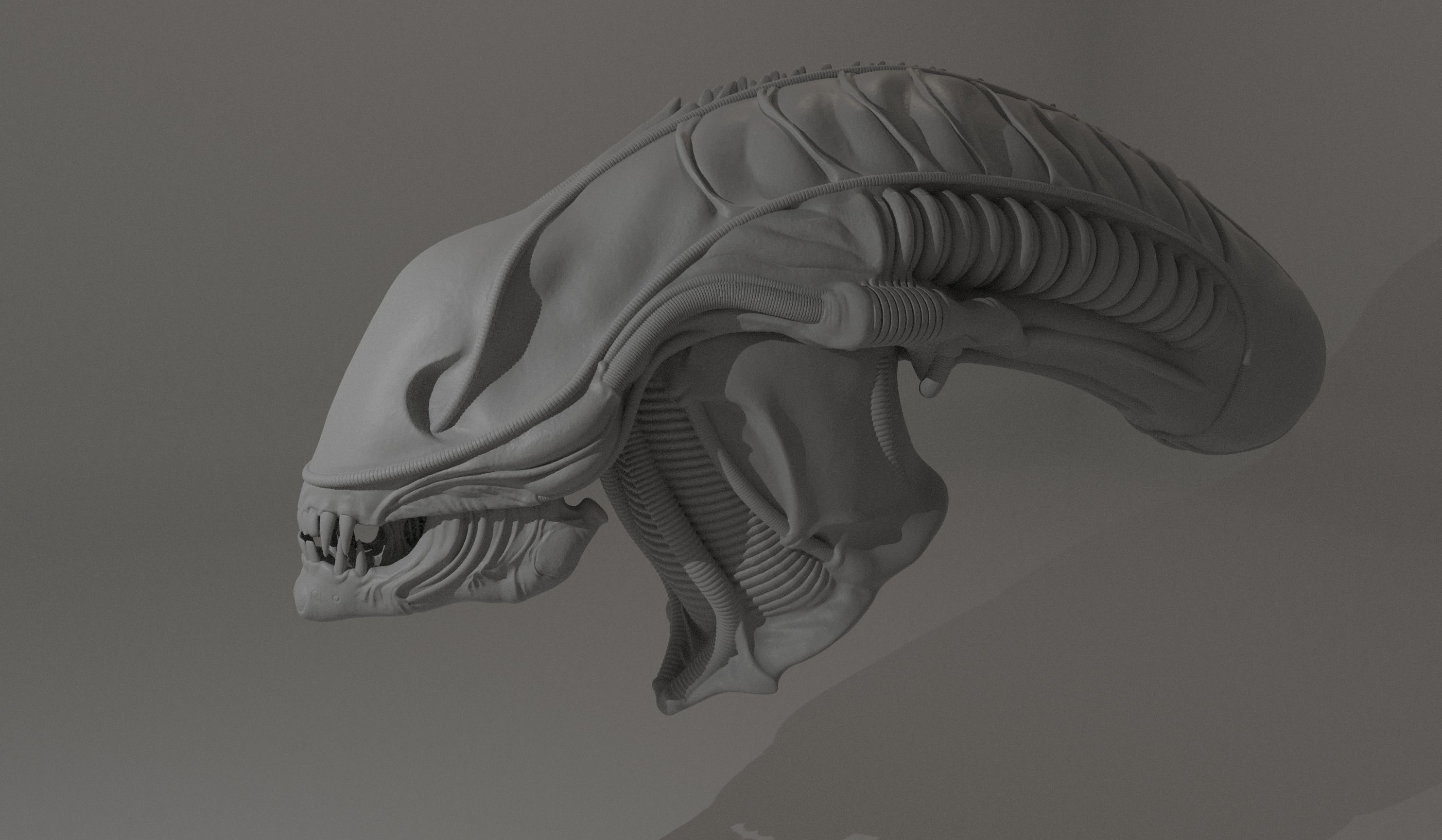 Aliens 1986 Screen Accurate Alien Warrior Head 3D Model 3D model 3D ...