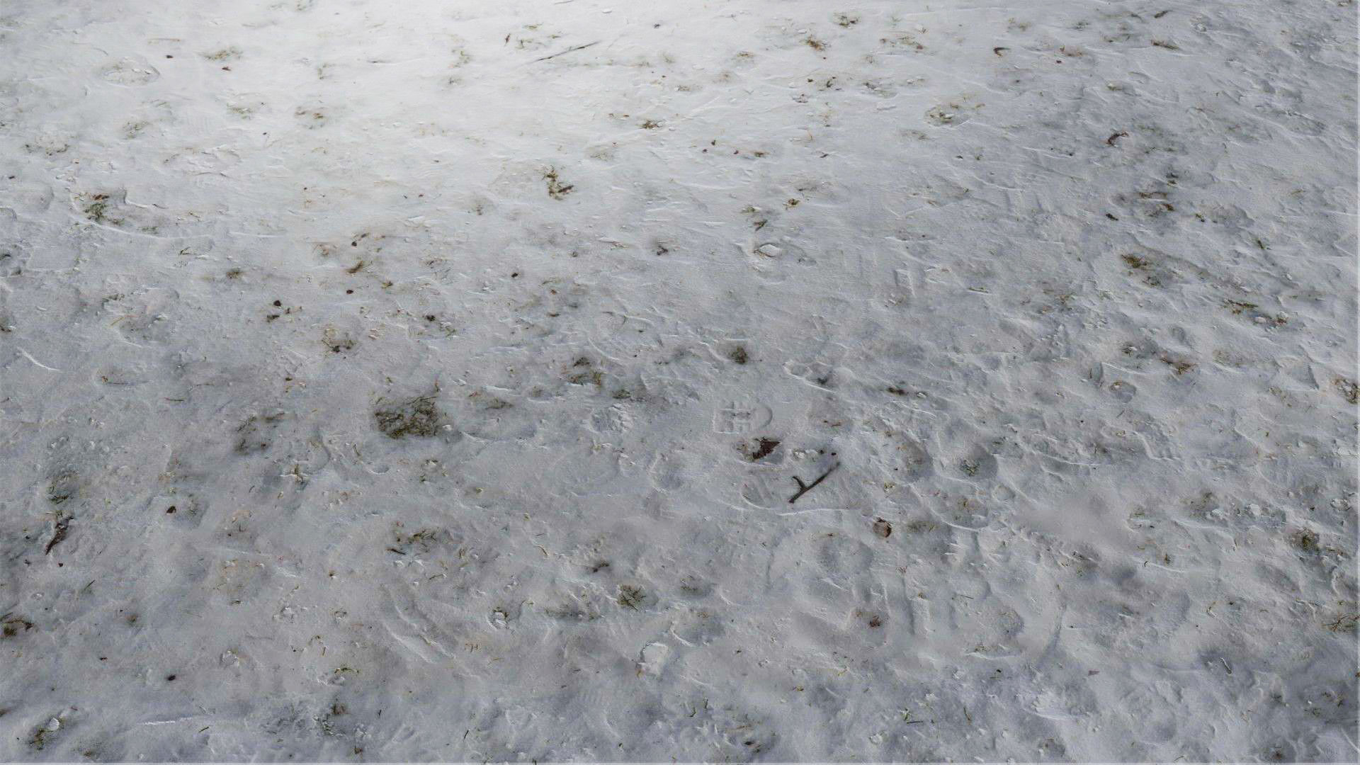 Texture Snow PBR Texture VR / AR / low-poly | CGTrader