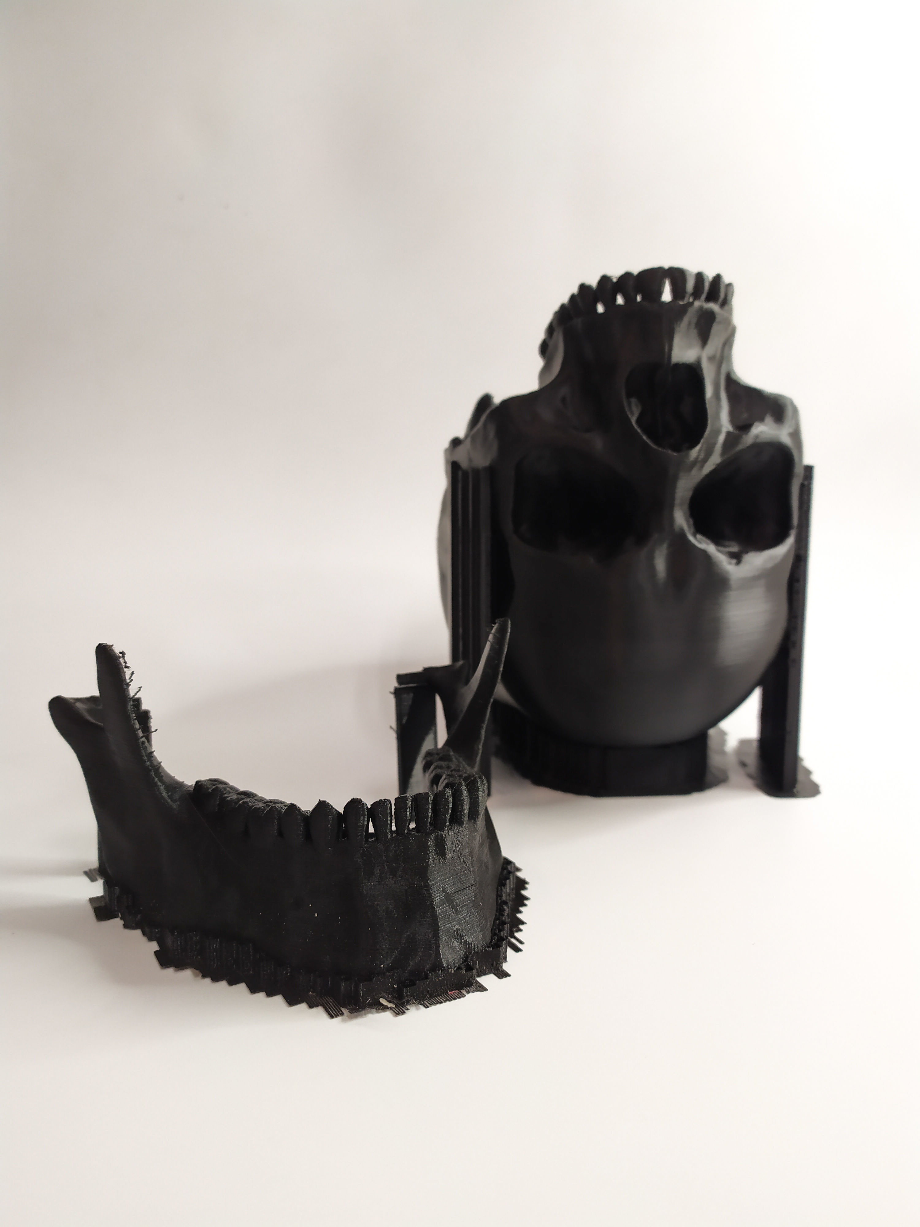 Human Scull 3d Model 3d Printable Cgtrader