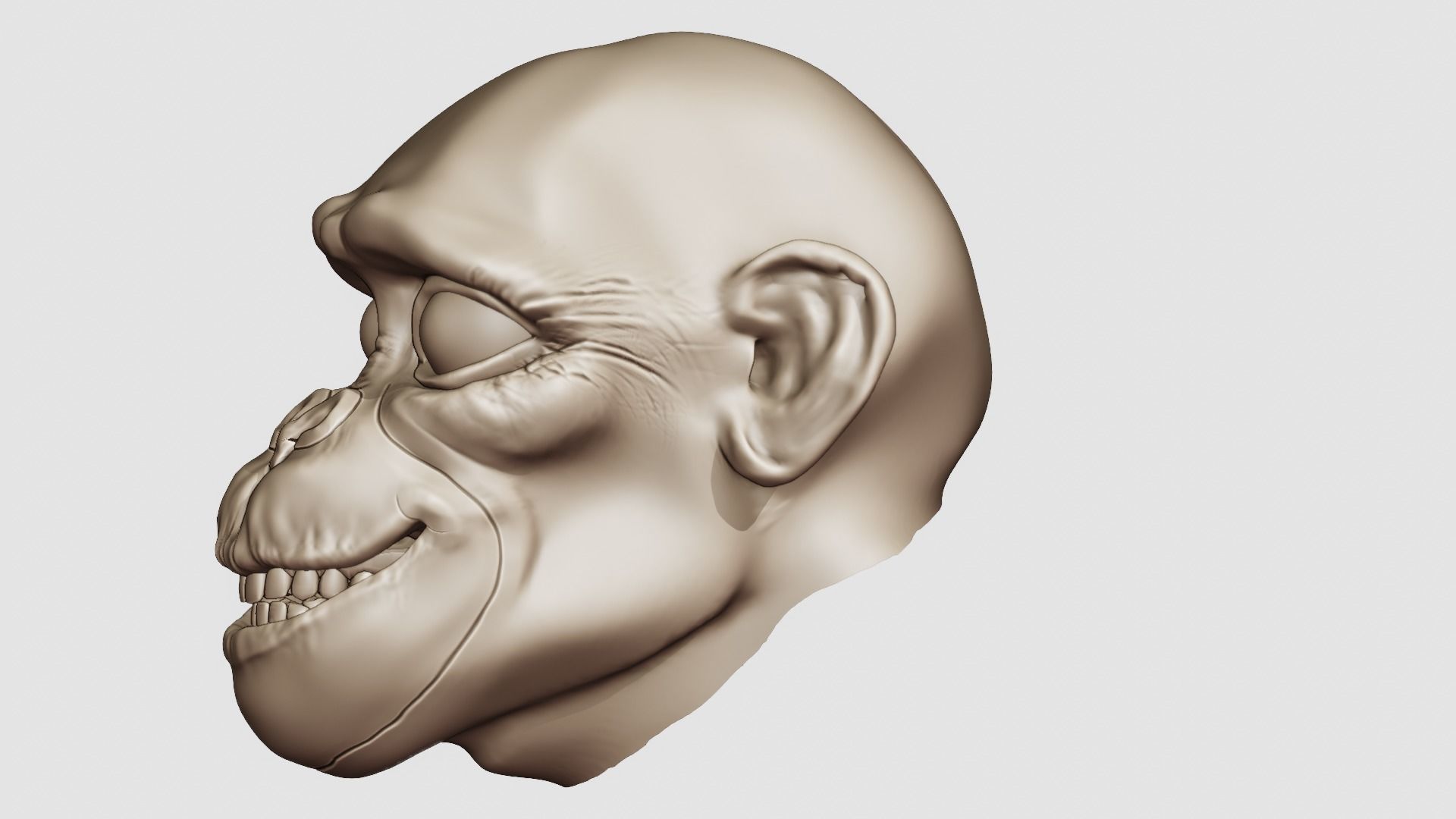 cartoon monkey 3D model | CGTrader