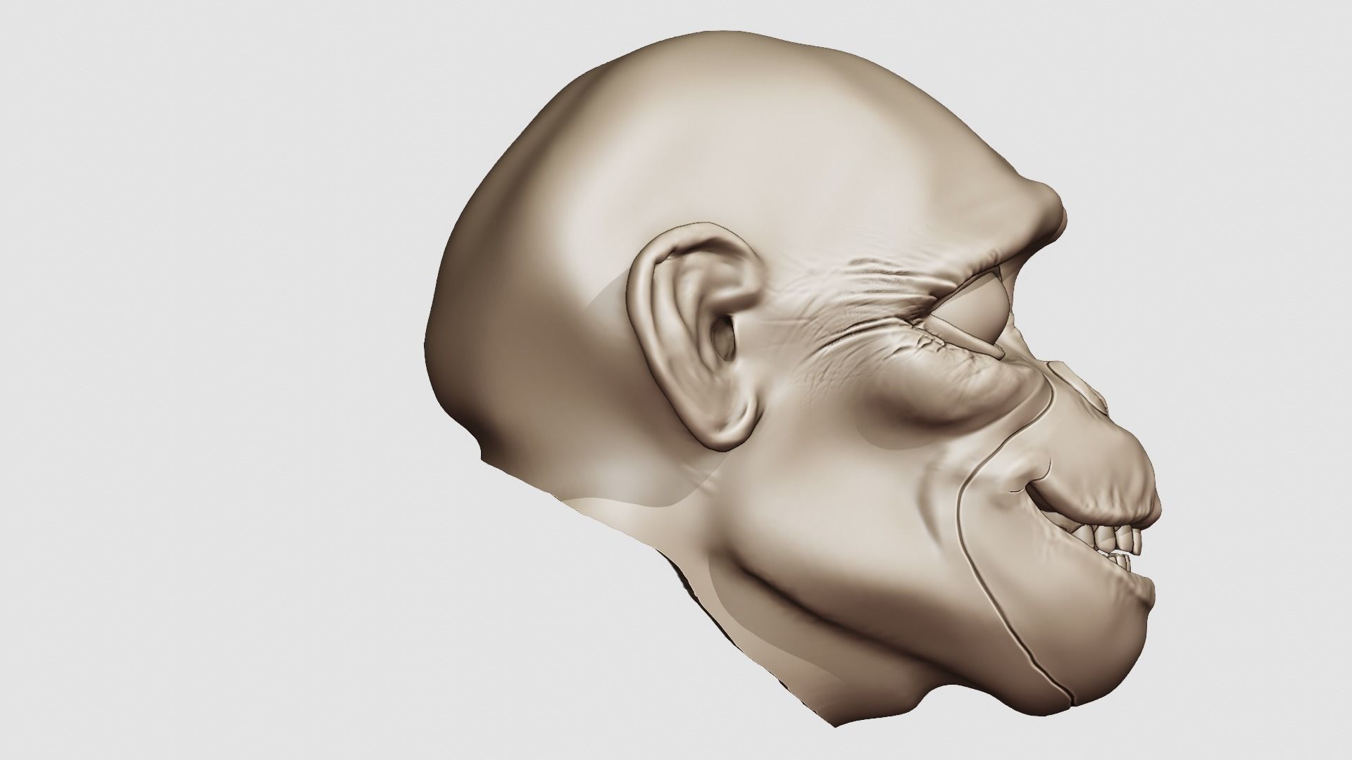 cartoon monkey 3D model | CGTrader