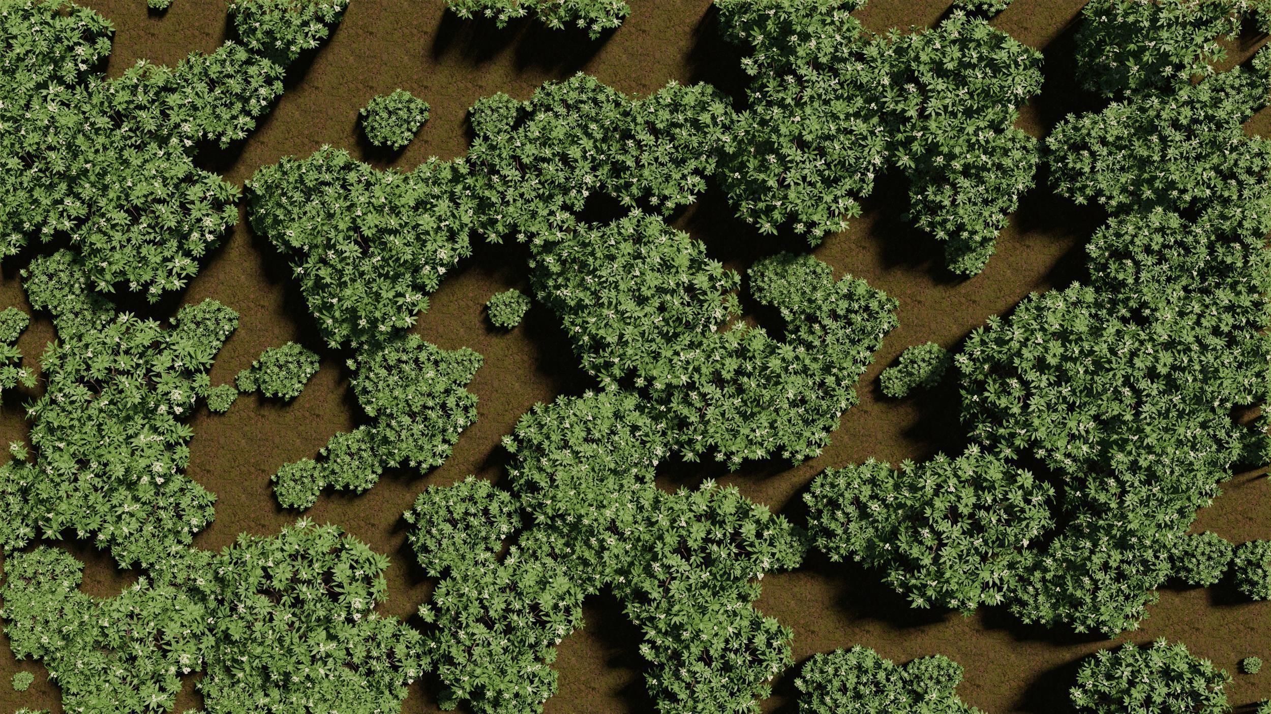 Tiny forest 3D model | CGTrader