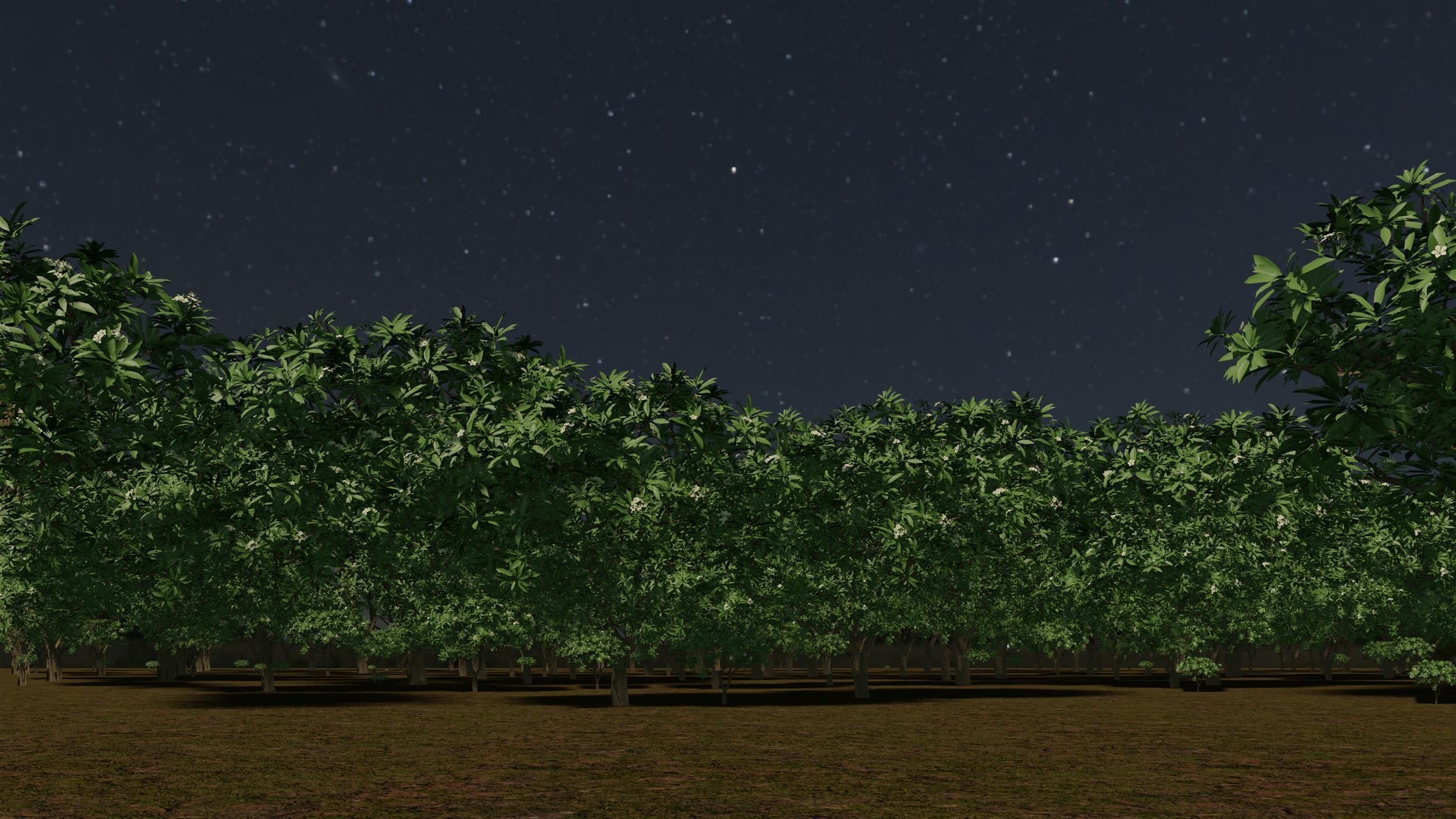 Tiny forest 3D model | CGTrader