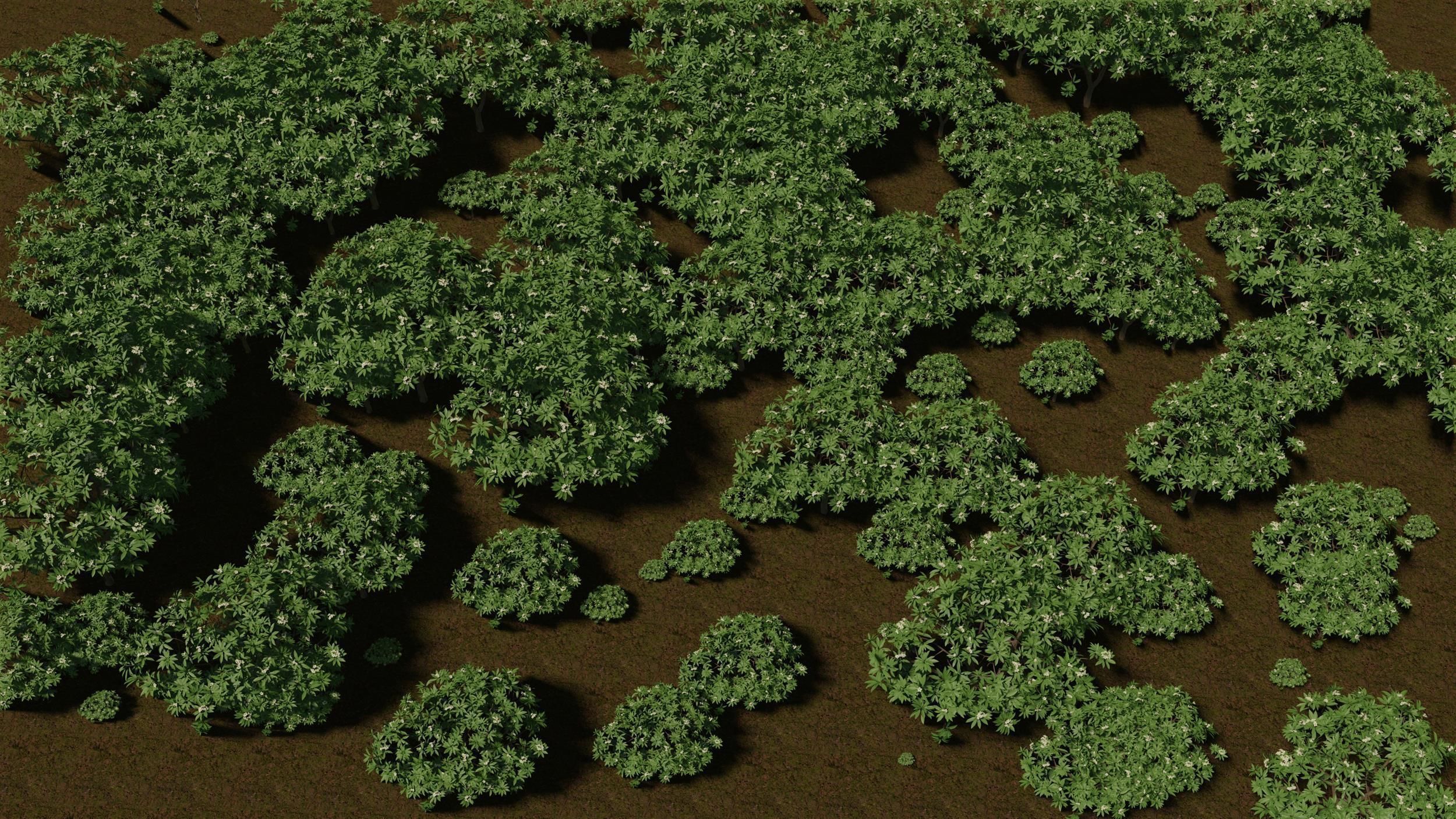 Tiny forest 3D model | CGTrader